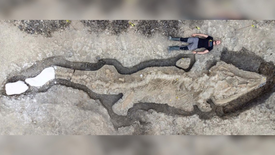 Sea dragon from 180 million years ago found in UK | wusa9.com