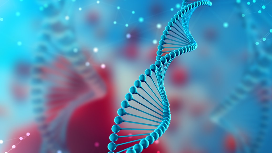 Scientists discover how gene mutation causes autism and intellectual ...