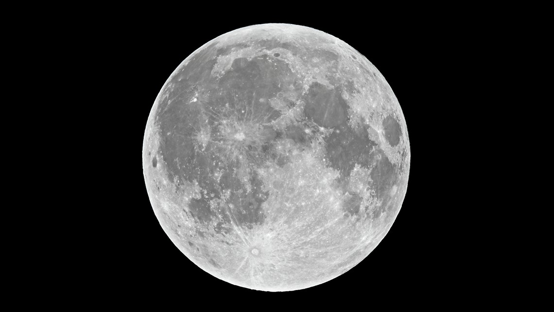 'Moon ark' proposed to preserve Earth life samples as precaution ...