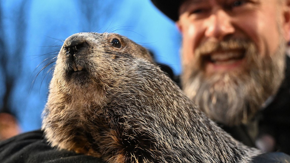 Groundhog Day 2025: Did Punxsutawney Phil see his shadow? | wusa9.com
