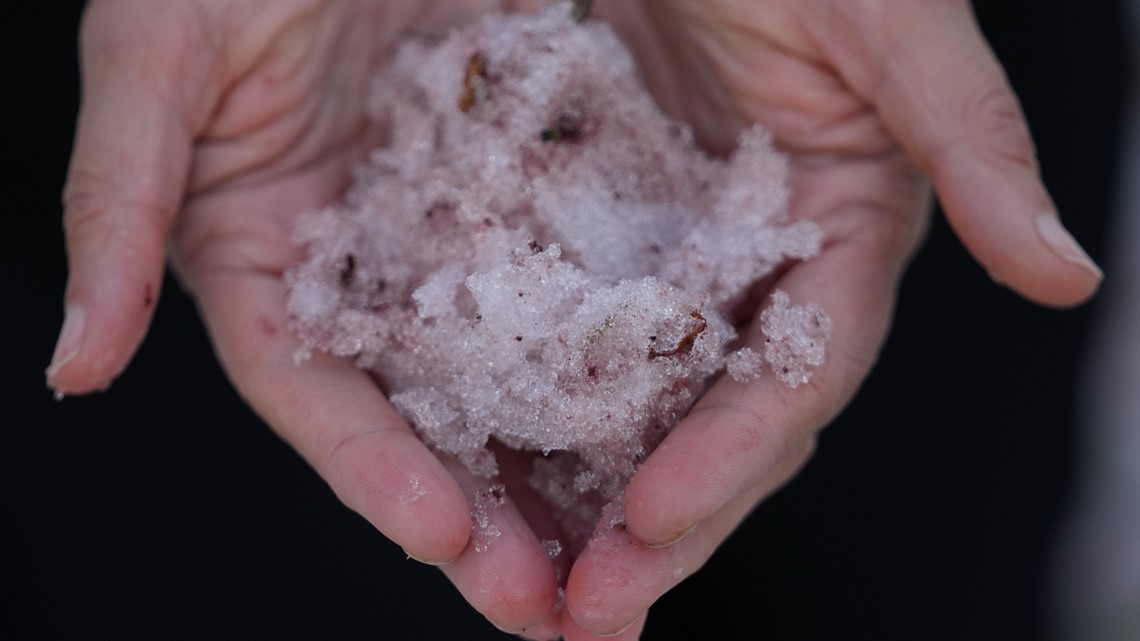 What is Watermelon snow? Pinkish snow in Utah piques curiosities ...