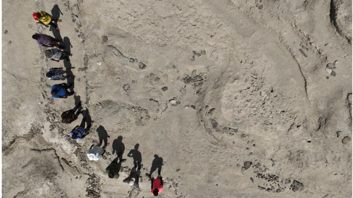 Early human ancestors walked side by side in Kenya | wusa9.com