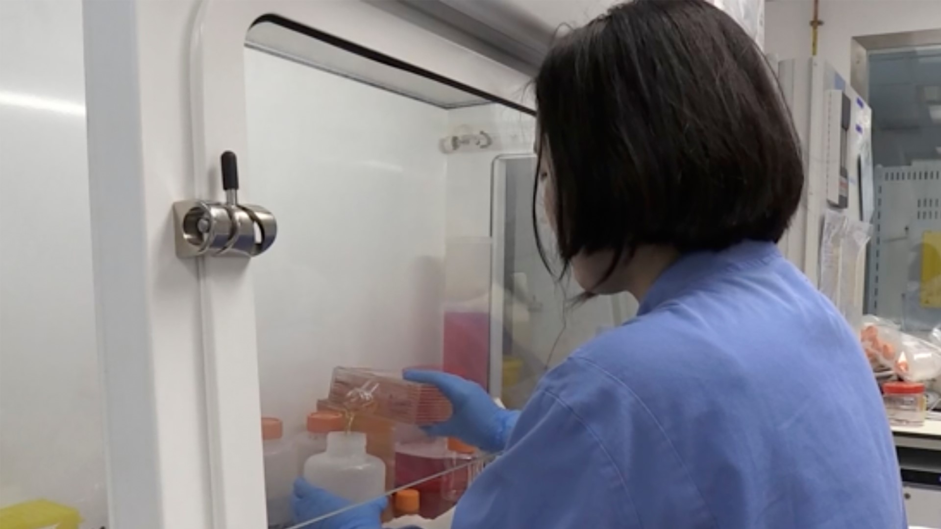 Oxford COVID-19 vaccine reportedly shows success in monkeys | wusa9.com