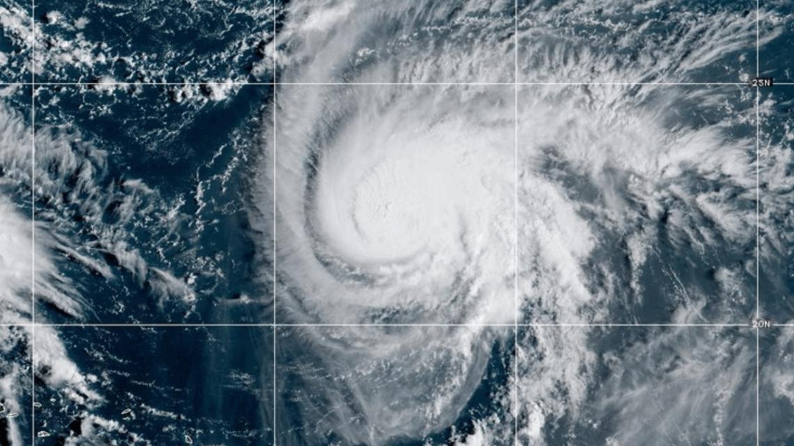 New York based Daily Provisions set to open in Dupont Circle ─ first DC location | wusa9.com