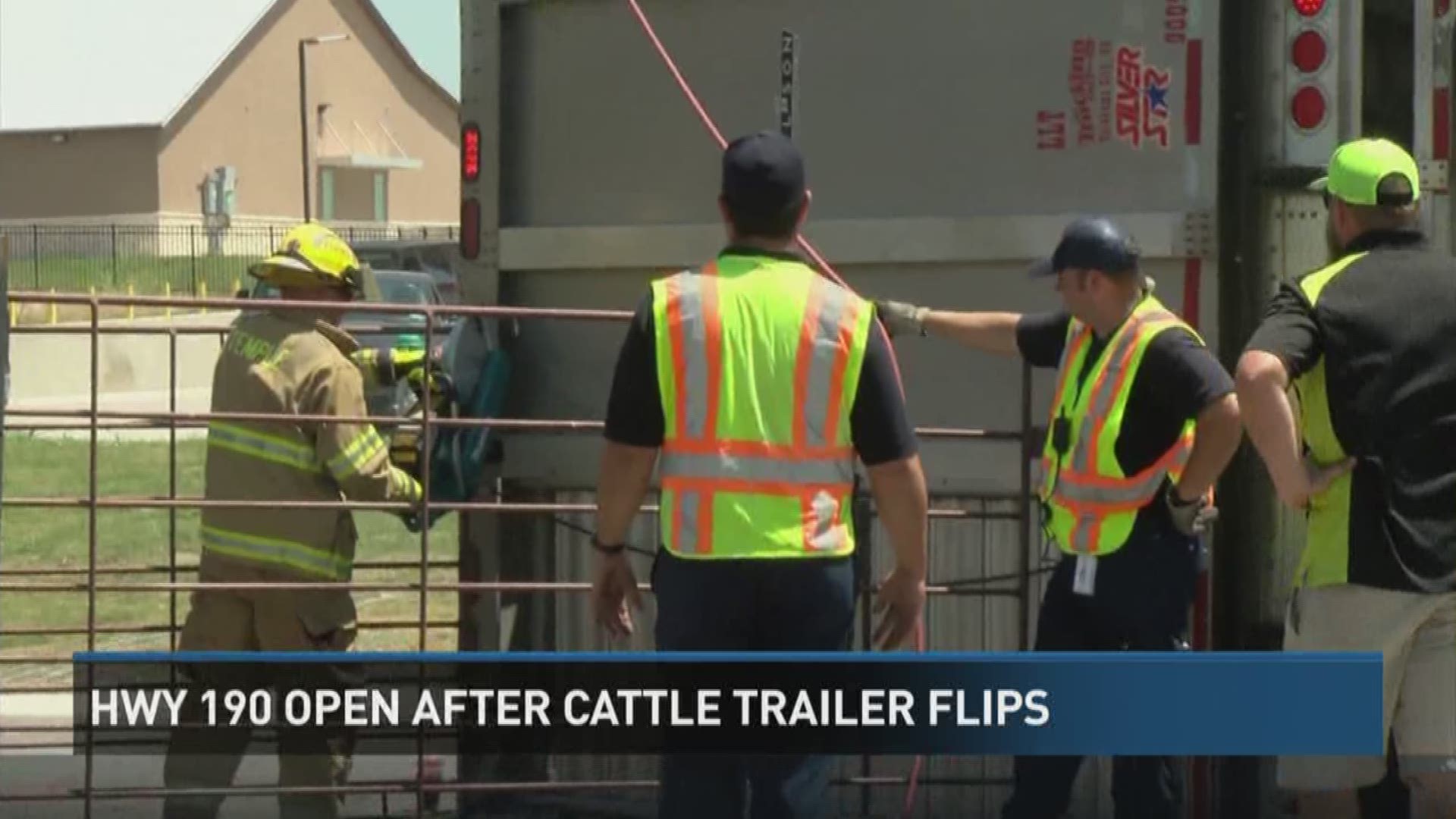 Crash overturns cattle truck in Temple, 3 people injured, 18 cattle ...