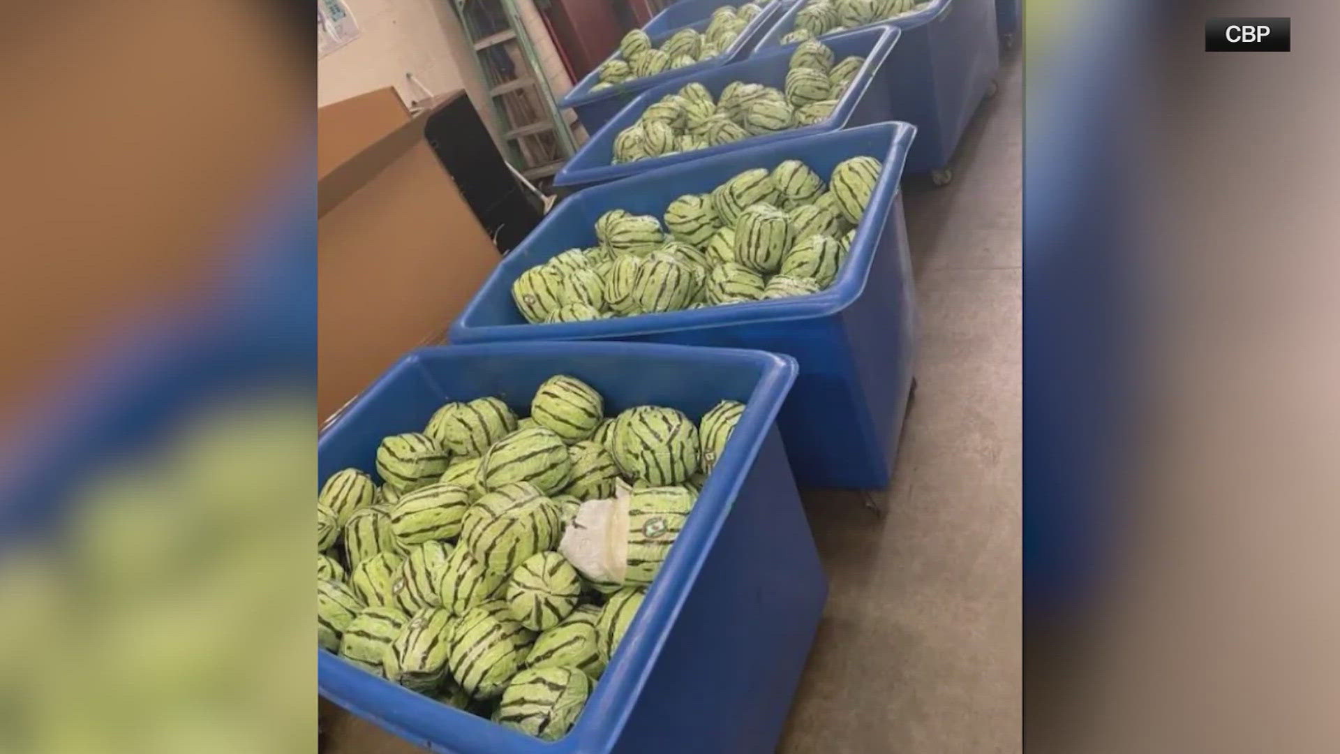 Meth disguised as watermelons found at U.S. border, agents say | wusa9.com