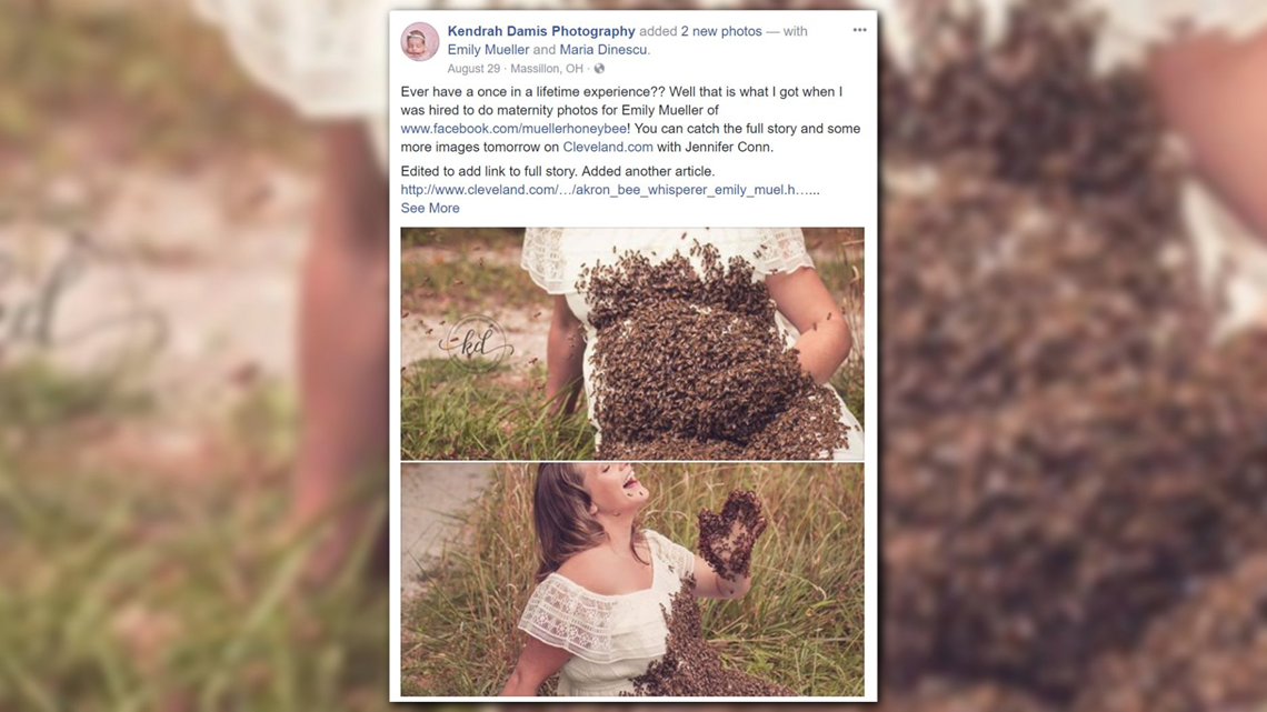Ohio woman whose bee maternity shoot went viral suffers stillbirth ...