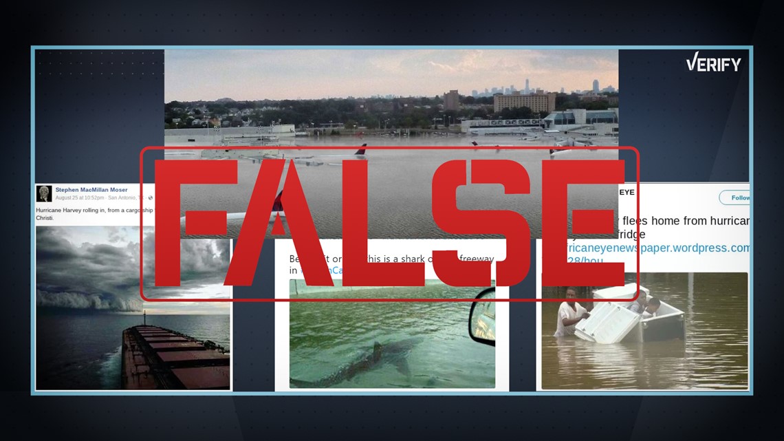 VERIFY: Fake shark photos and other hoaxes to look out for during ...