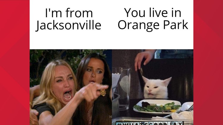 'Woman Yelling at Cat' meme: How it started, how it will end | wusa9.com