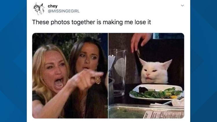 'Woman Yelling at Cat' meme: How it started, how it will end | wusa9.com