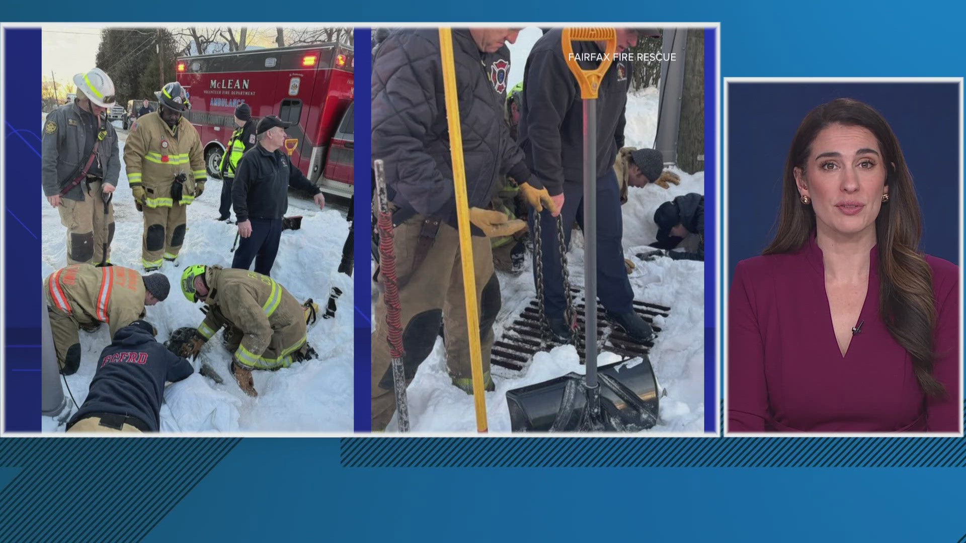 Northern Virginia delegate presents bill to ban license plates ...