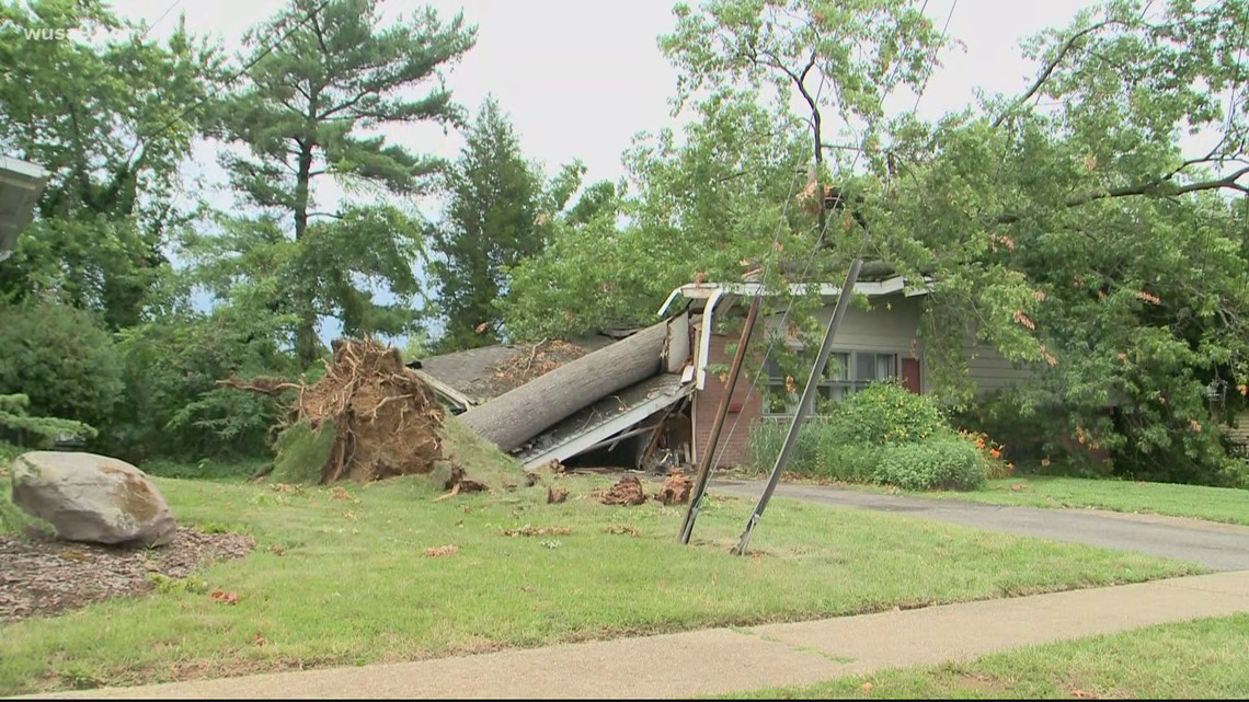 Staying safe during high winds | wusa9.com