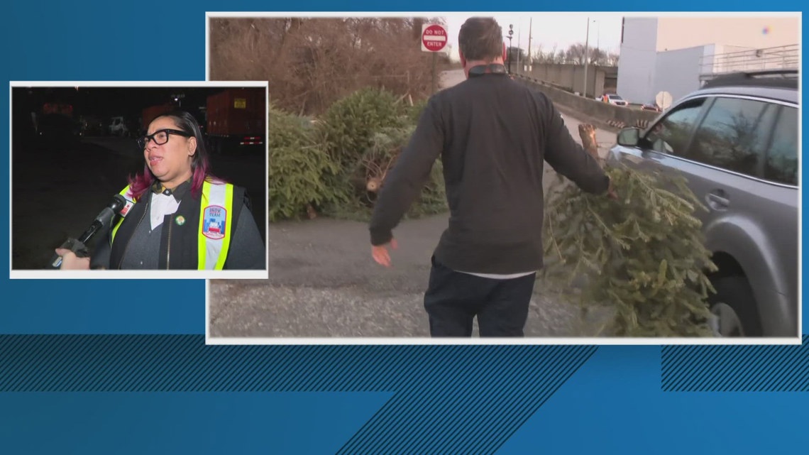 Tree pickup begins in some parts of the DMV, here's what to know ...