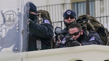 Insurrection definition: Insurrection at the Capitol | wusa9.com