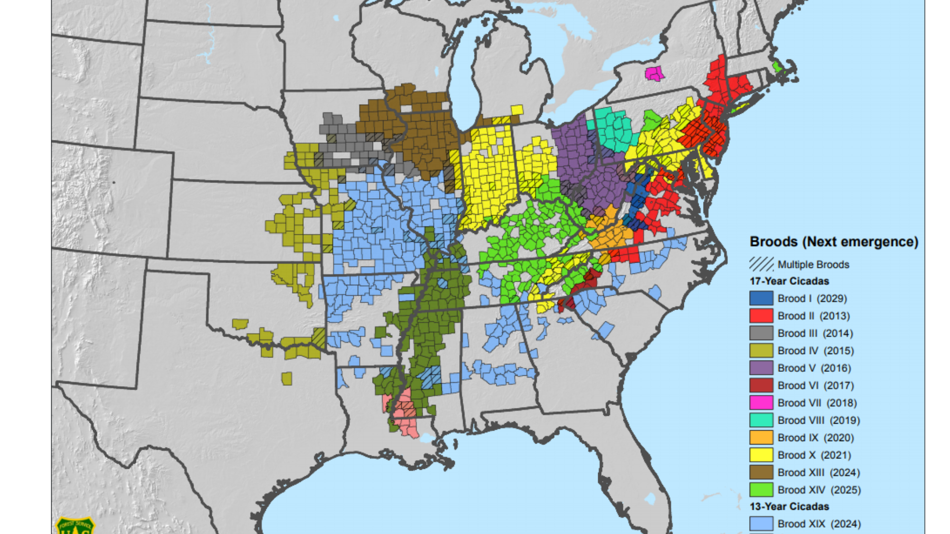 Brood X cicada map 2021: How long is life cycle of brood x? | wusa9.com