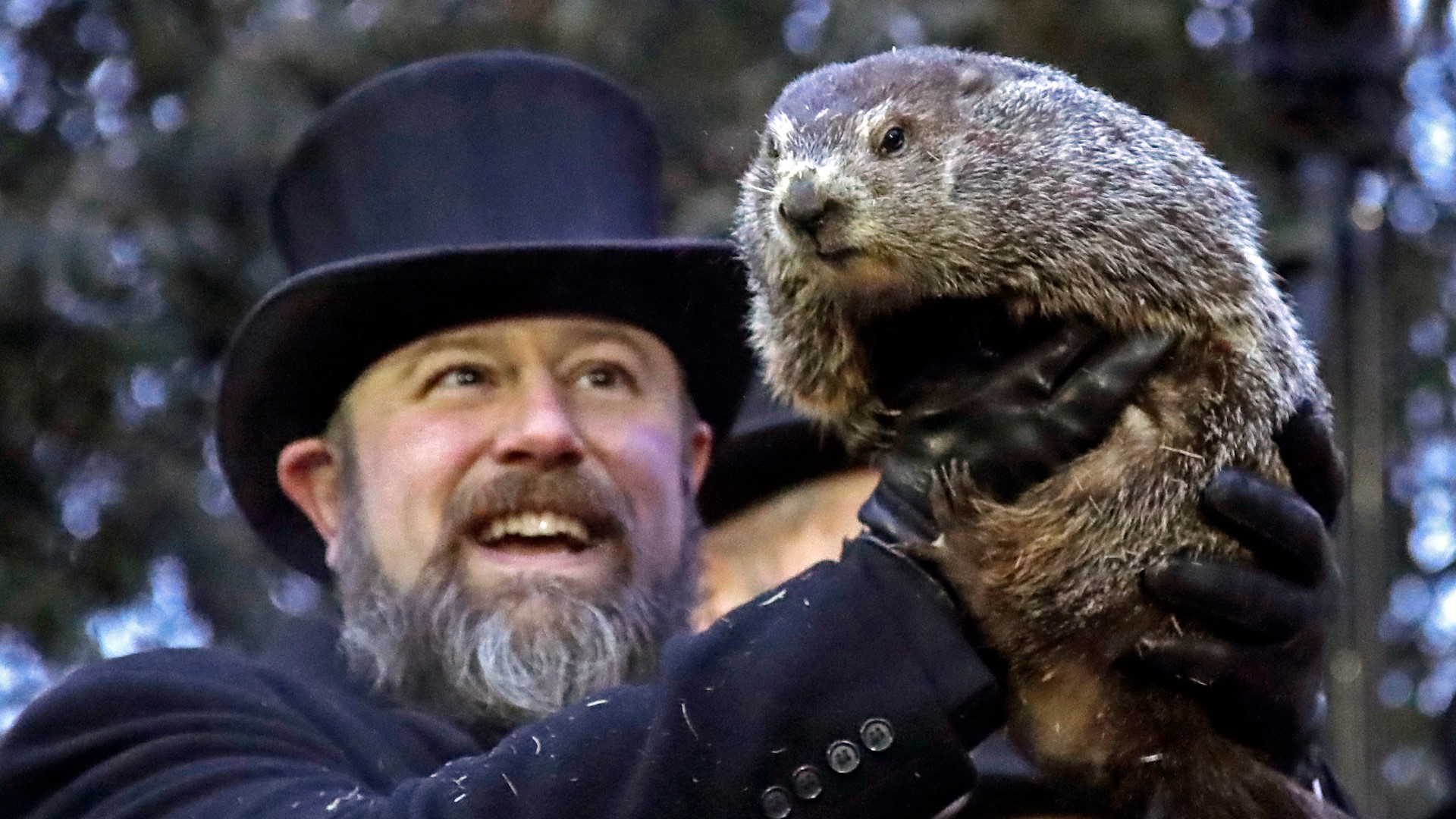 Will "Phil" see his shadow this Groundhog Day? | wusa9.com