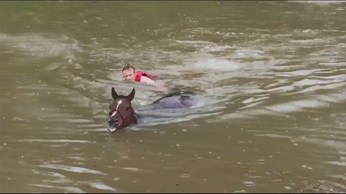 Rescuers help save drowning horses on Cypresswood Drive | wusa9.com