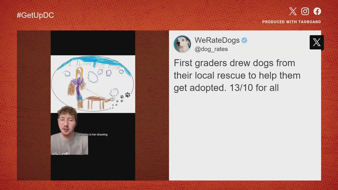 Southeast DC students featured on WeRateDogs social media account ...