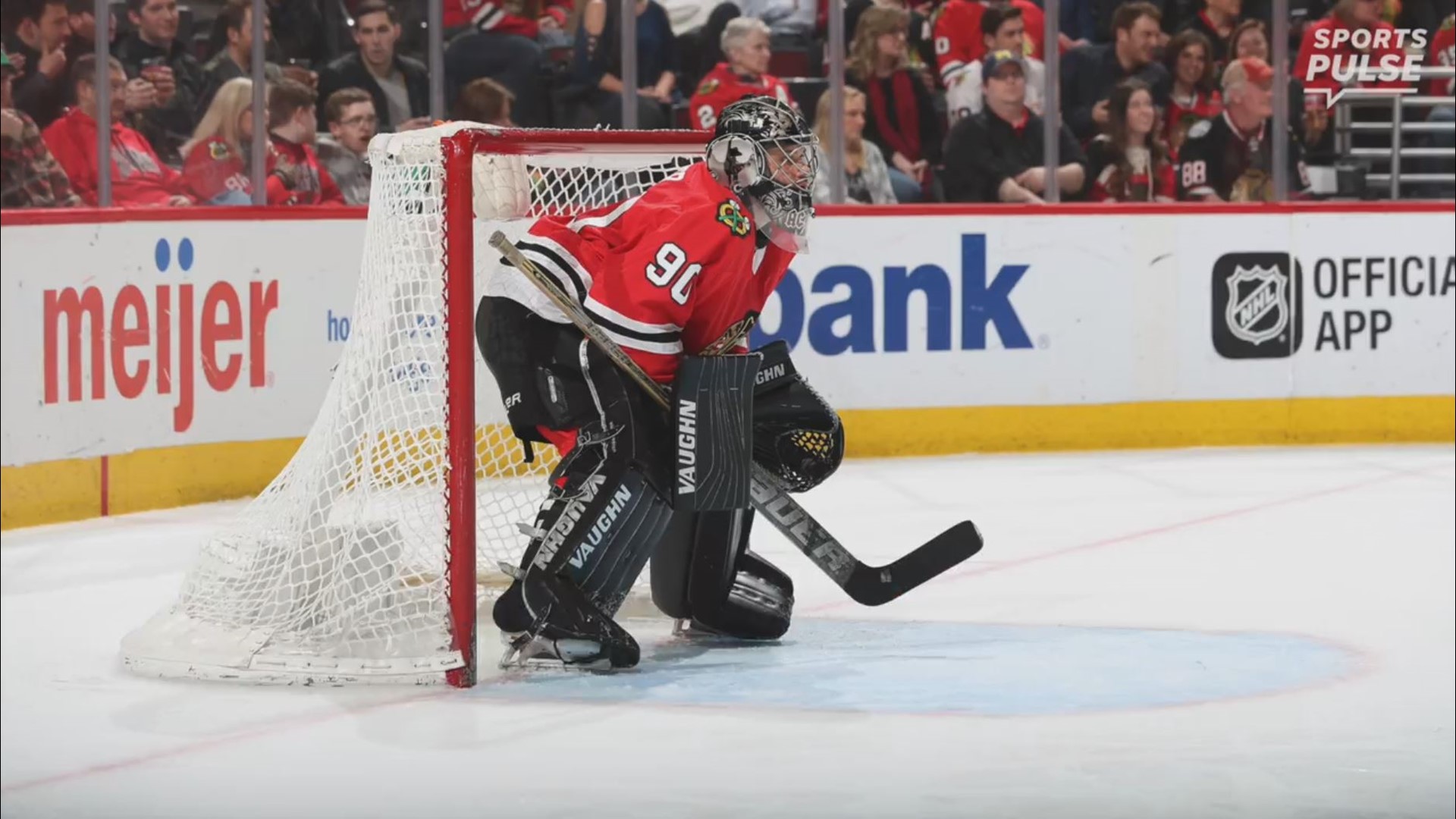 Meet one of Washington Capitals EBUGS | wusa9.com