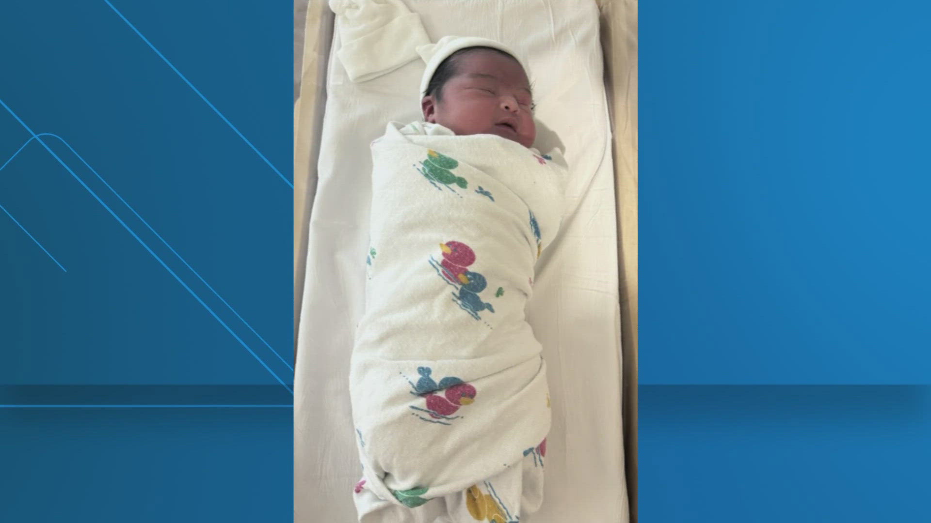 Martin Scorsese remembers 'beautiful' friendship with late Rob and ...