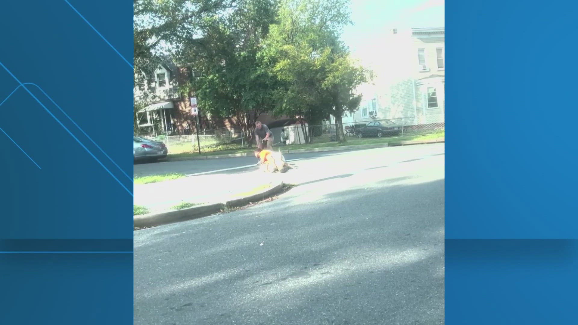 Southeast DC ANC commissioner attacked by pit bull | wusa9.com