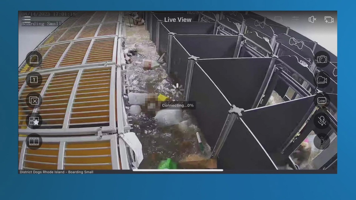 District Dogs to pay $100,000 to DC for deadly 2023 flood | wusa9.com