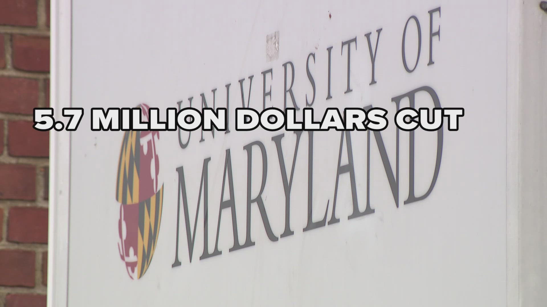 Probationary firefighter Sadia Williams dies at 21 | wusa9.com