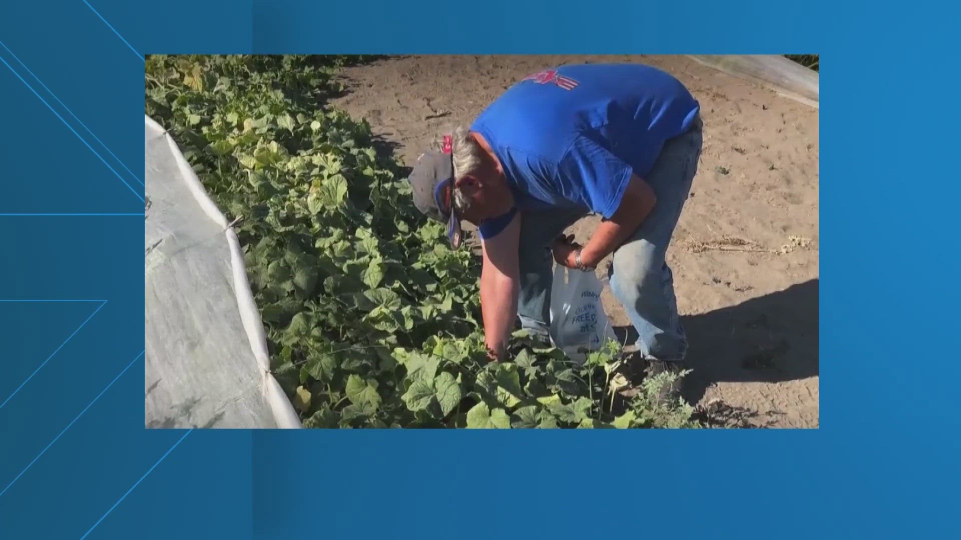 Farmer urges Maryland residents fighting powerline developers | wusa9.com
