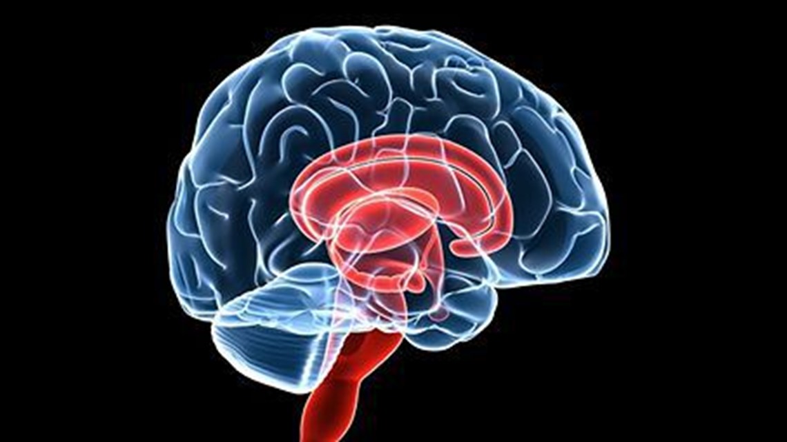 Experts look for ways to treat 'Chemo Brain' | wusa9.com