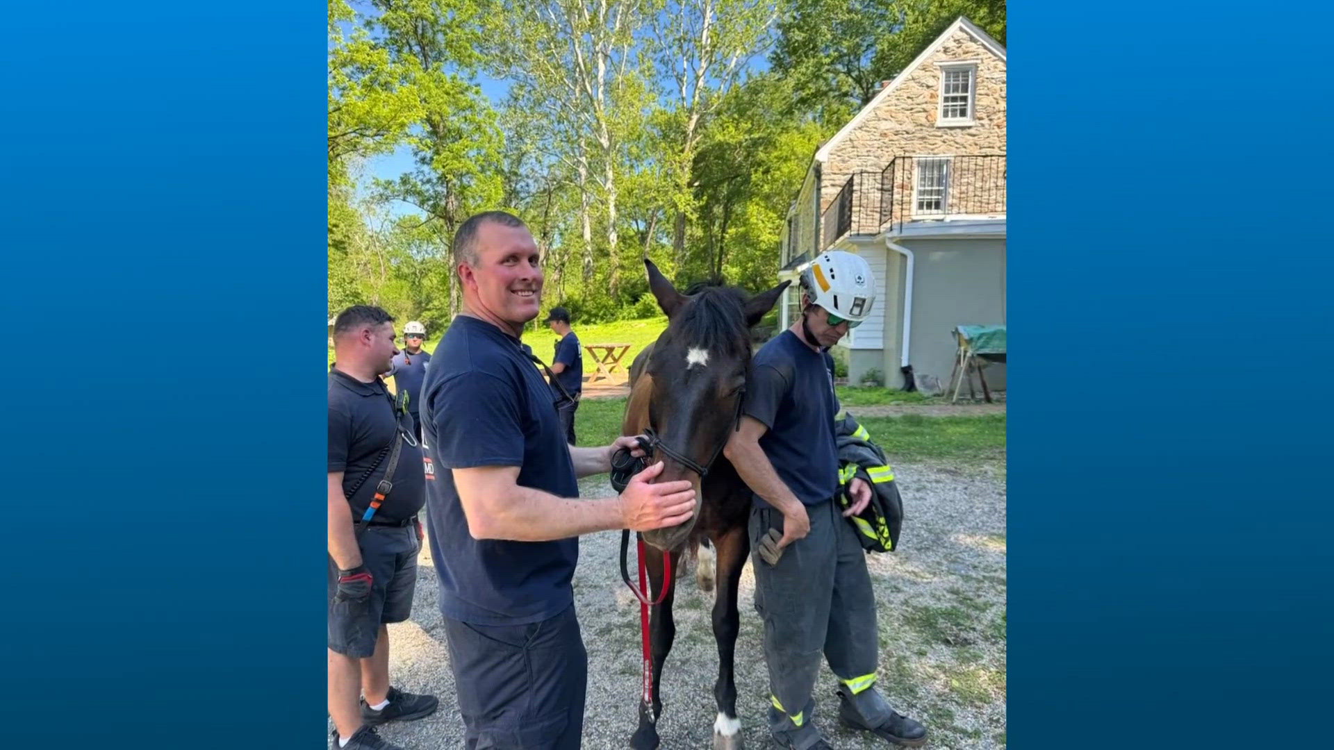 Horse rescued from Montgomery County bridge | wusa9.com