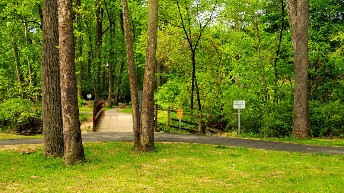 Sligo Creek swastika tree Montgomery County Park Police | wusa9.com