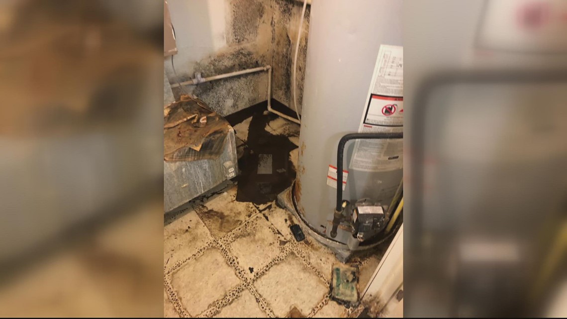 HUD inspectors are reviewing another DC landlord for receiving federal ...