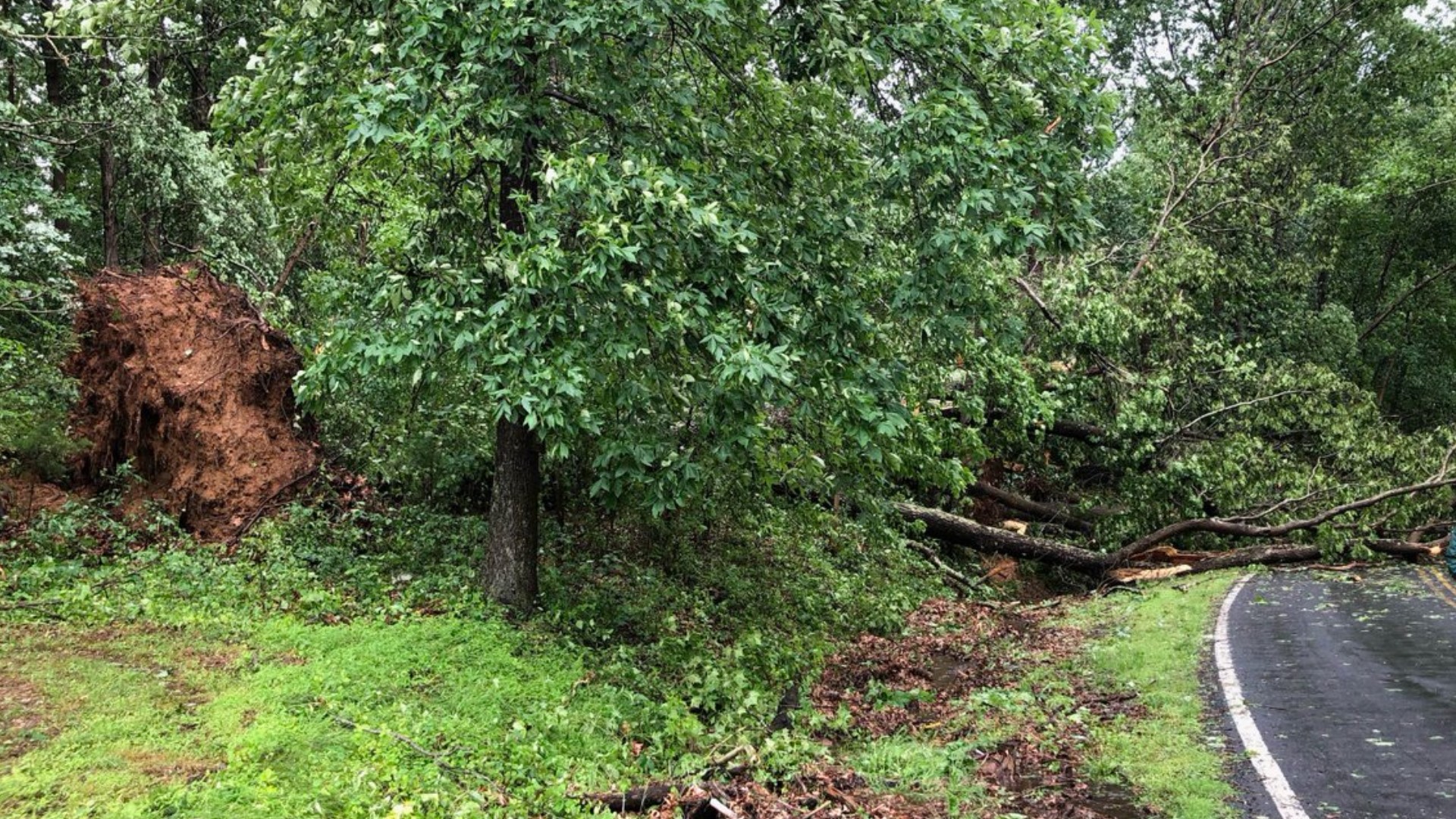 Severe storm causes damage in Frederick, Columbia areas | wusa9.com