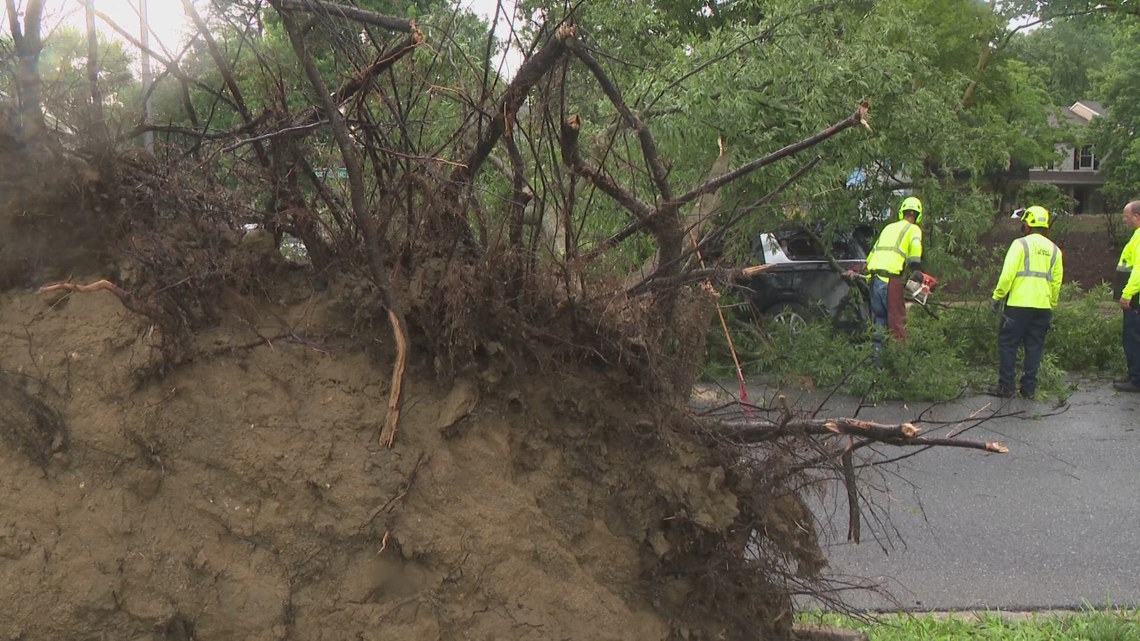 Teen helps rescue family trapped by fallen tree in storm | wusa9.com