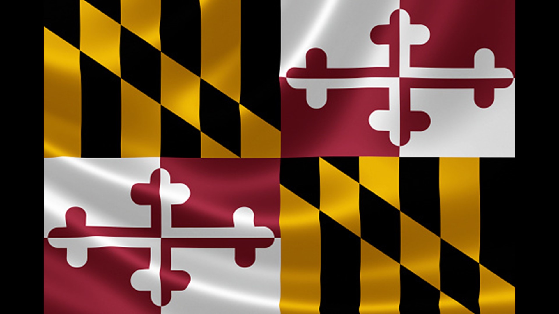 Deanwood Library Kiosk Washington DC public library | wusa9.com