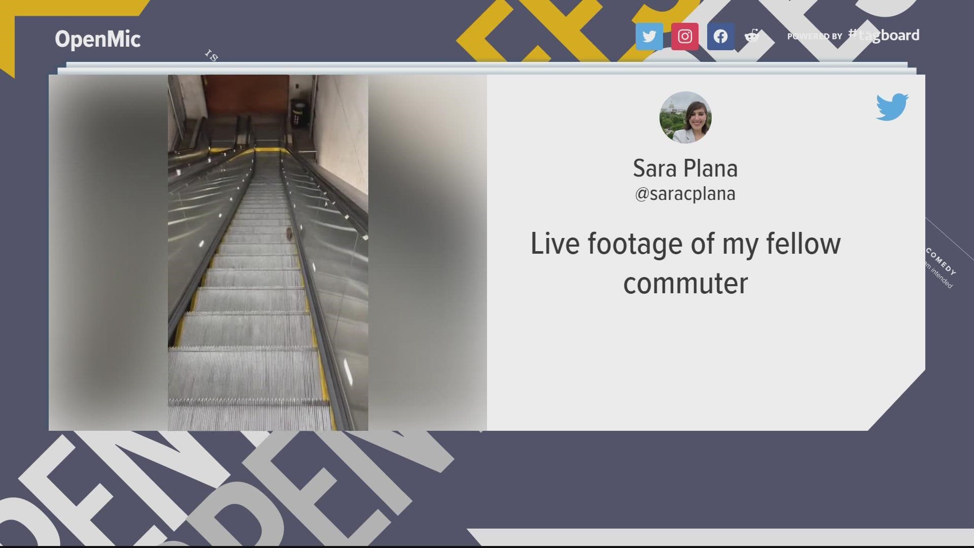 Greatest Hit: Metro Rat | wusa9.com