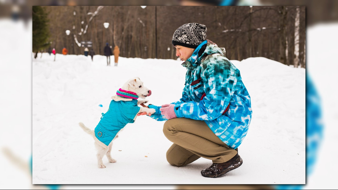 Tips to walk your dog in cold weather | wusa9.com