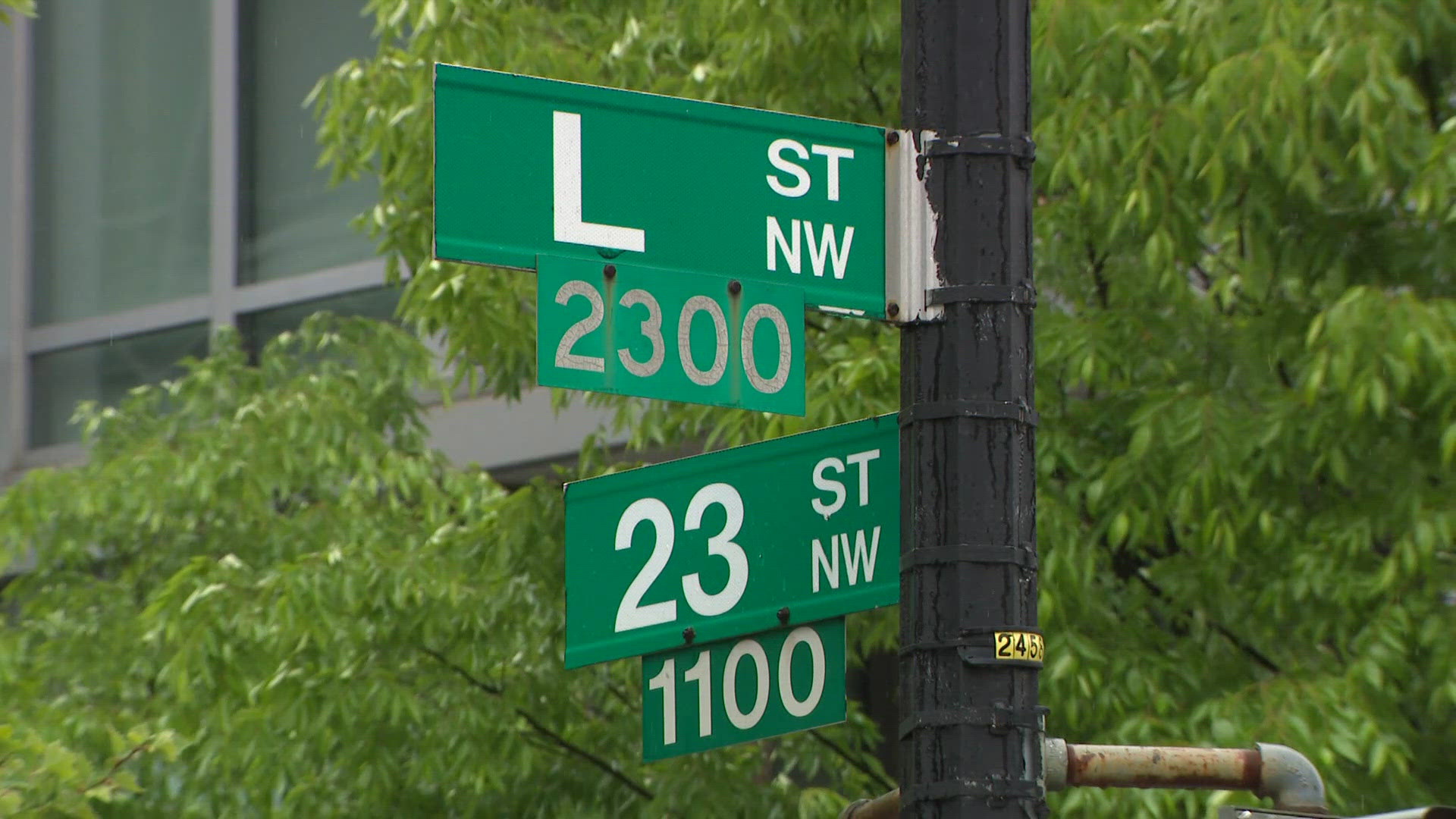 Police identify woman killed in deadly hit-and-run in West End | wusa9.com