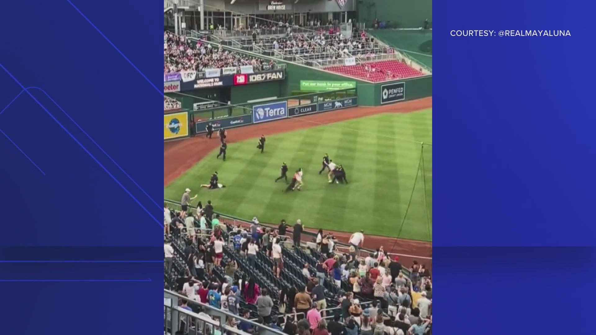 8 protestors arrested at Congressional Baseball Game | wusa9.com