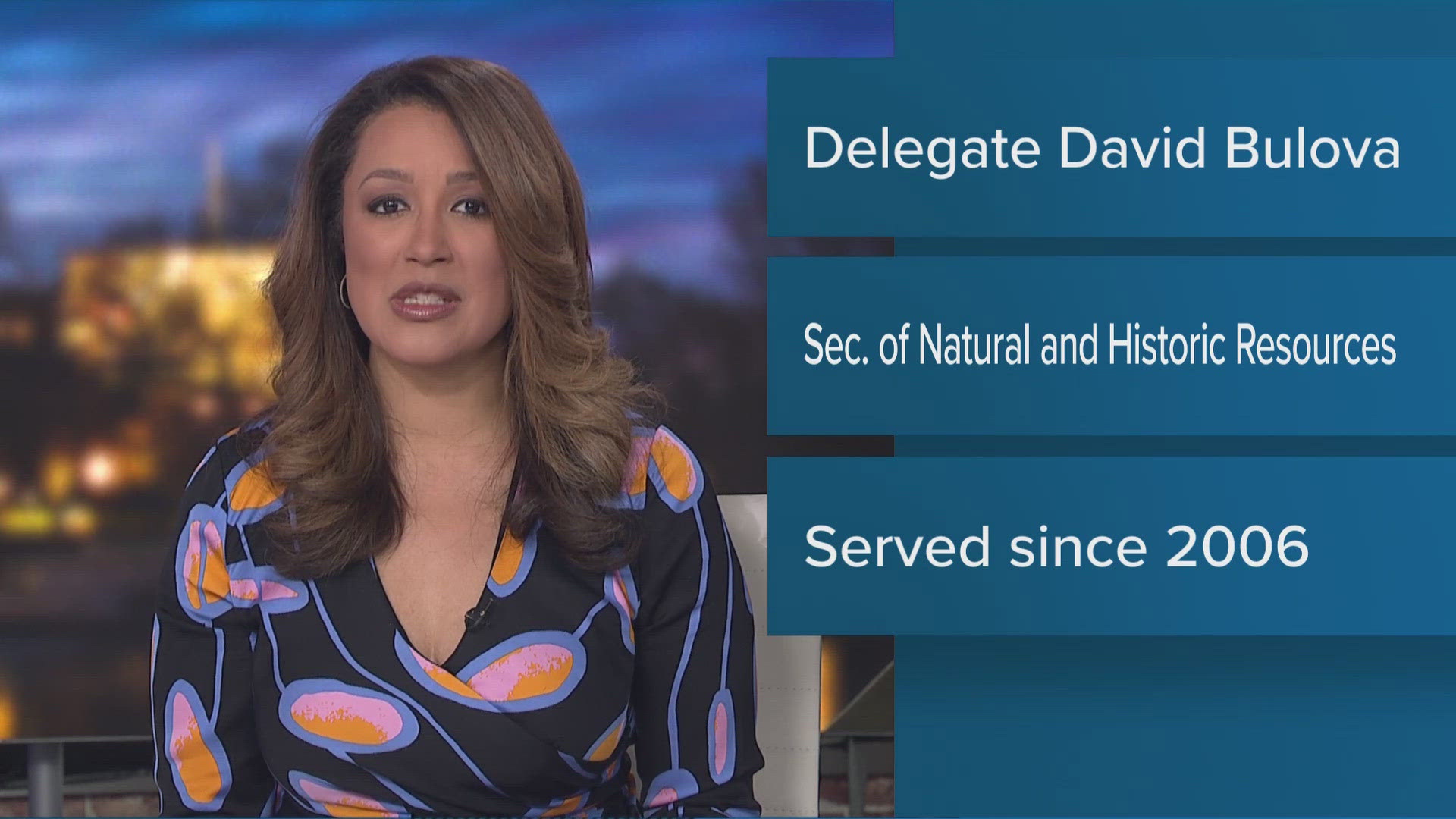 Fairfax special election set to fill vacancy left by Del. David Bulova ...