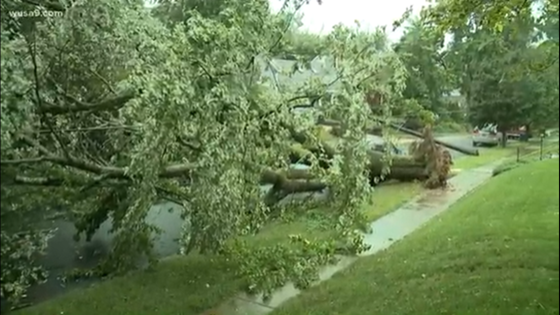 washington DC weather: severe storms, heatwave, flooding | wusa9.com
