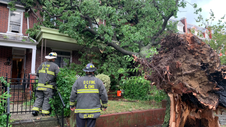 Photos and videos show severe thunderstorm hit DC | wusa9.com