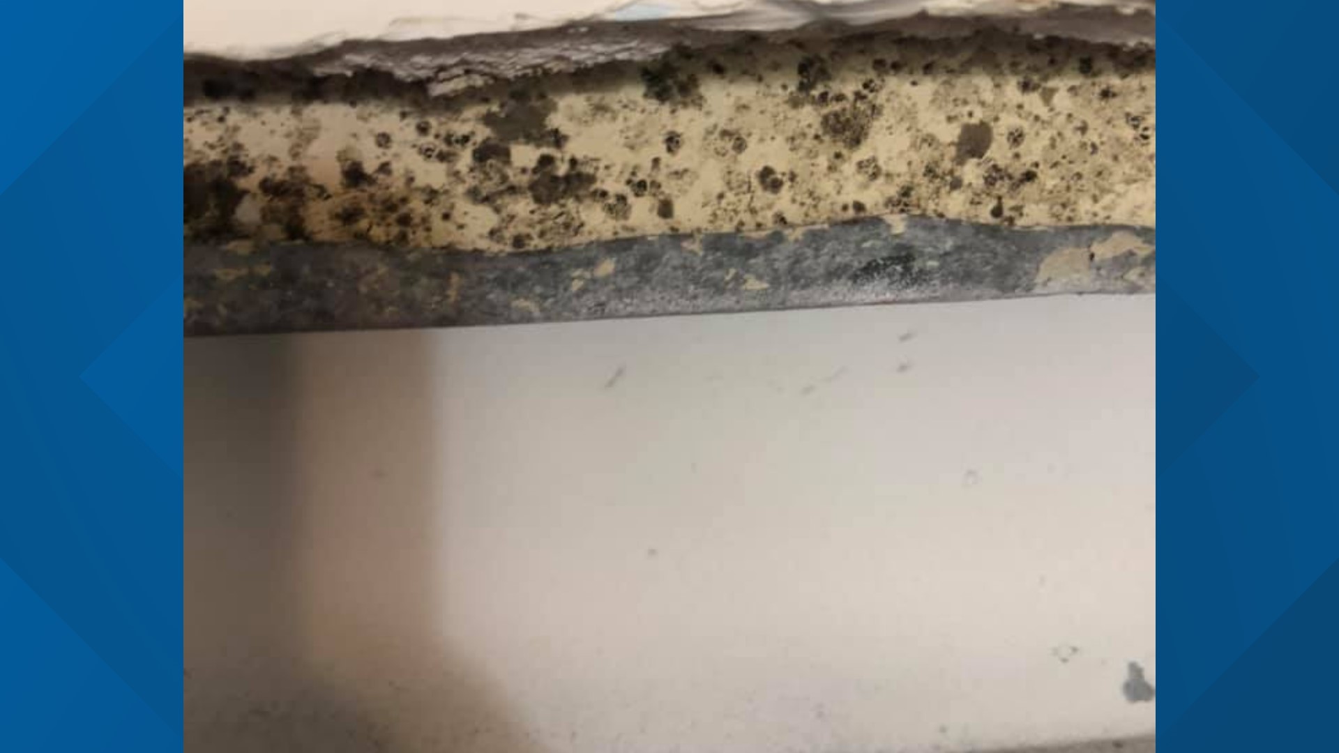 Mold and water damage from inside military housing | wusa9.com