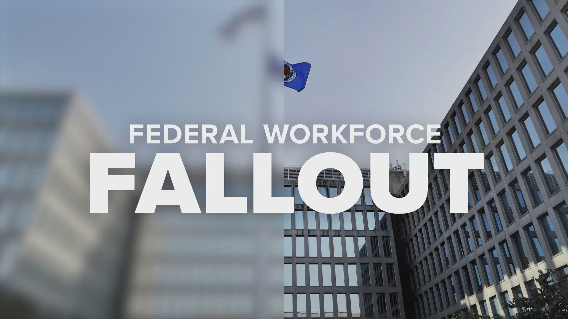 Support for laid-off federal workers: freebies and discounts | wusa9.com