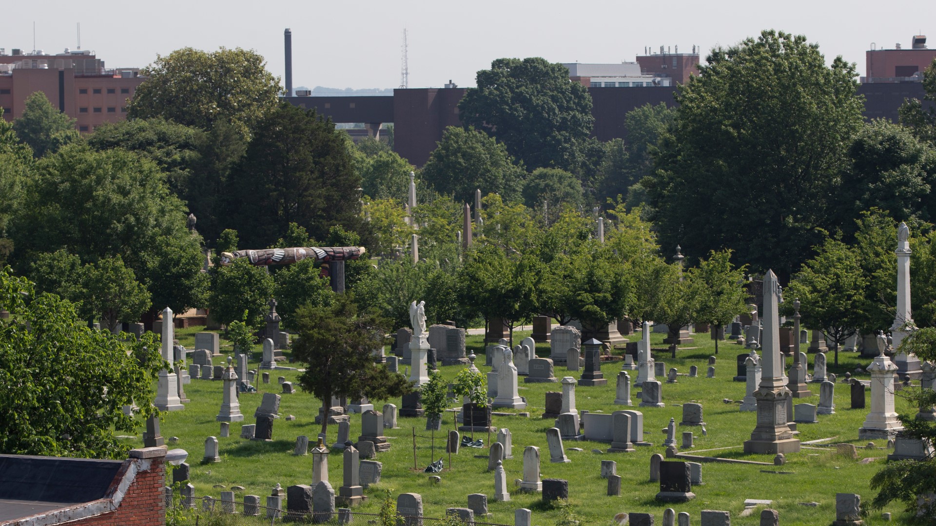 Cursed places DC: A list of bizarre areas, weird spots | wusa9.com