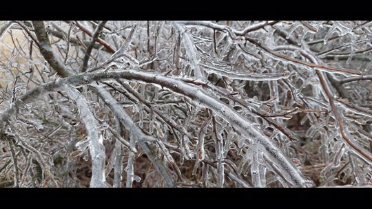 How much ice does it take to cause issues? | wusa9.com