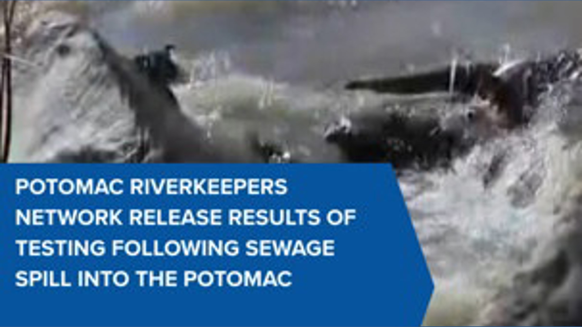 Potomac Riverkeepers Network release results of testing after large ...
