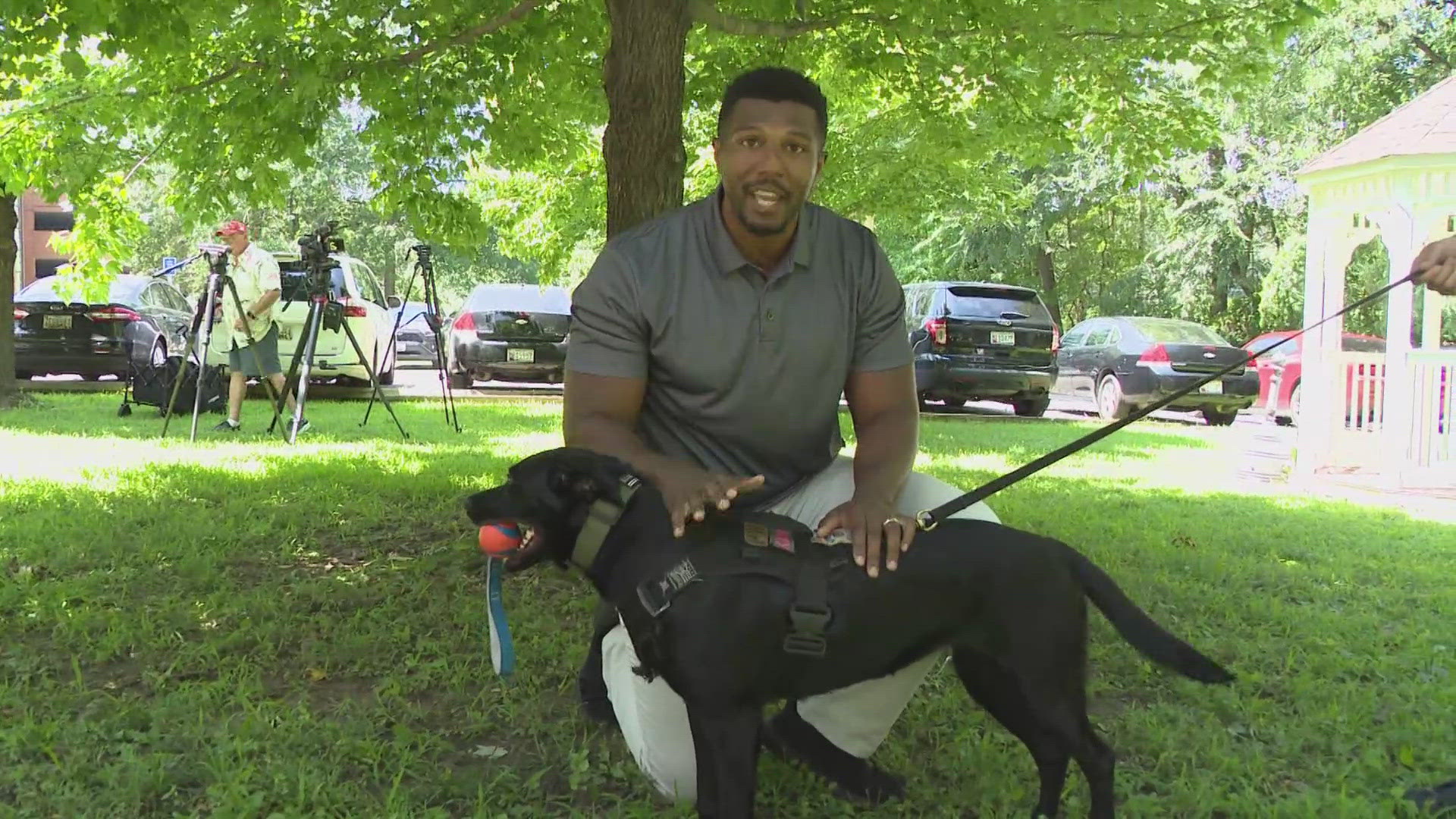 Meet K9 Kimber! Prince George's Police's first firearms detection ...