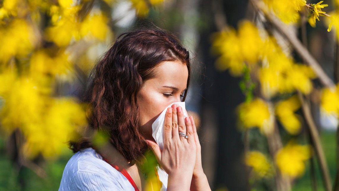 Pollen count today: Friday starts a bad stretch for allergies | wusa9.com