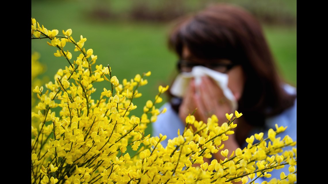VERIFY: Is rain beneficial for pollen allergy sufferers? | wusa9.com